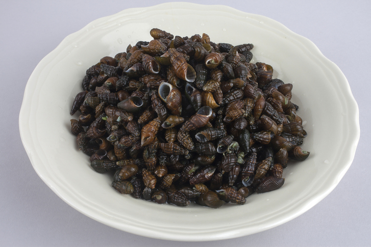 다슬기가 뭐라고…채취 나선 노인들, 잇따라 사망 | 문화일보