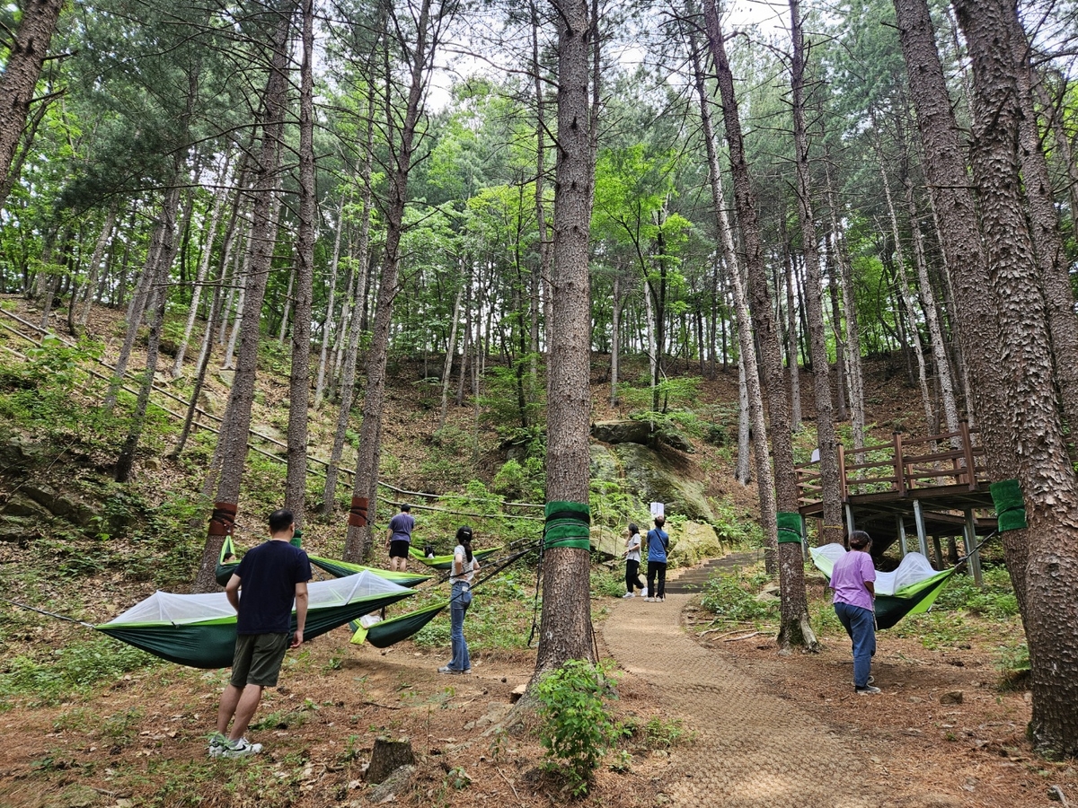 경기도, “폭염에 지쳤다면, 산림치유 프로그램 참여하세요” | 문화일보