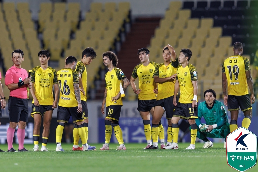 대한축구협회 “전남-천안전 오프사이드 골 취소는 오심” | 문화일보